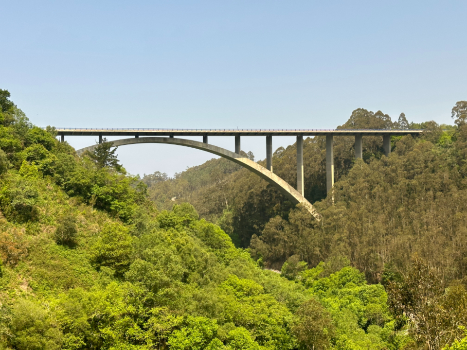 一键将织梦DedeCMS迁移到WordPress系统